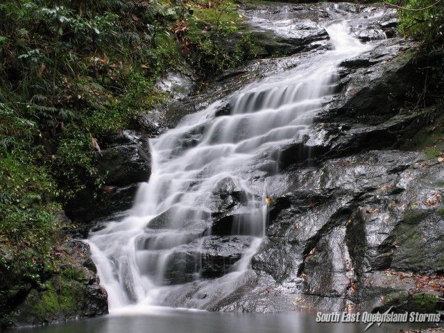 Walks - Maleny Accommodation